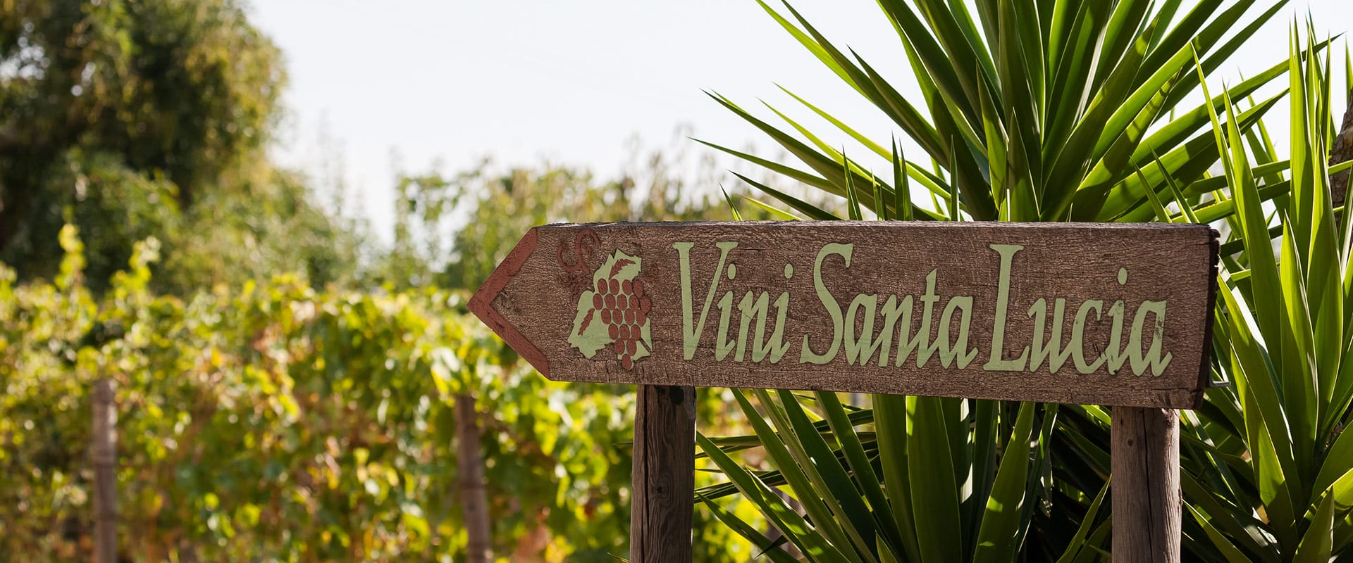 Farm tours – Azienda Agricola Santa Lucia